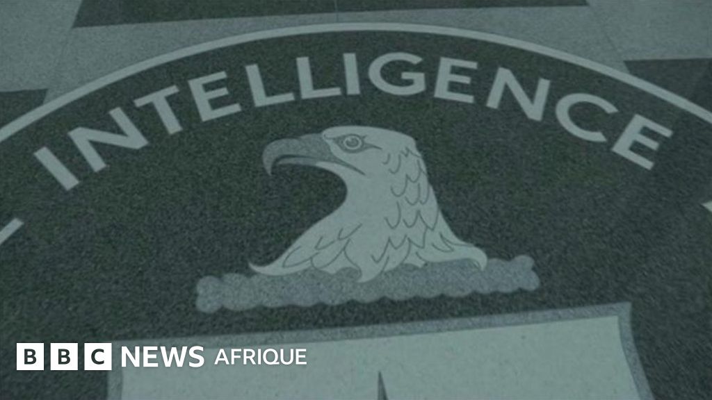 Wikileaks a fait des révélations inquiétantes sur la CIA - BBC News Afrique