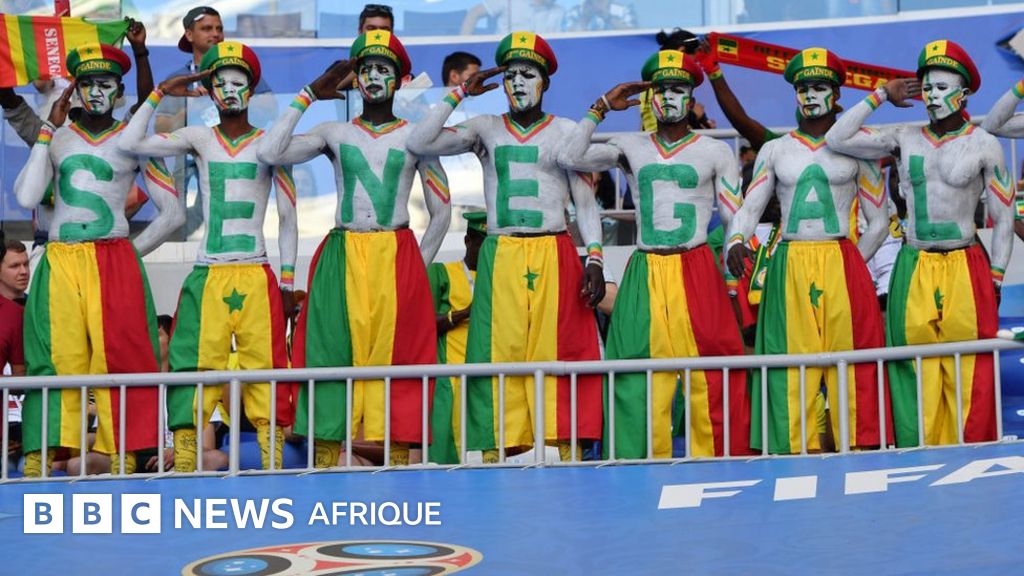 Cinq choses à savoir sur les Lions du Sénégal - BBC News Afrique