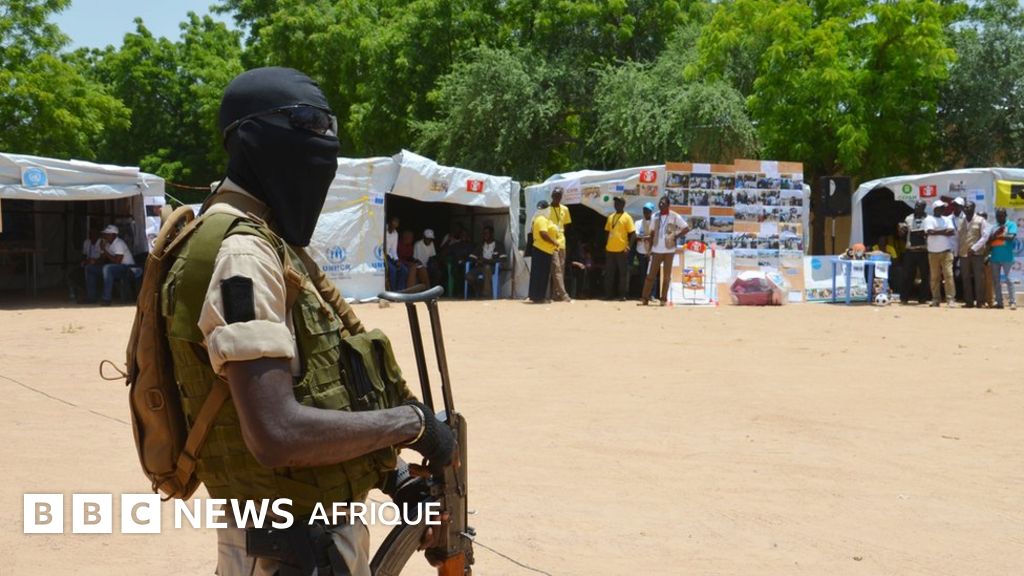 Ruée vers l'aide humanitaire : au moins 20 morts à Diffa au Niger - BBC ...