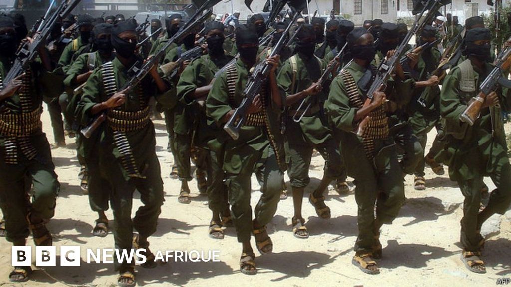 Somalie : al-Shabab se retire de El Wak - BBC News Afrique