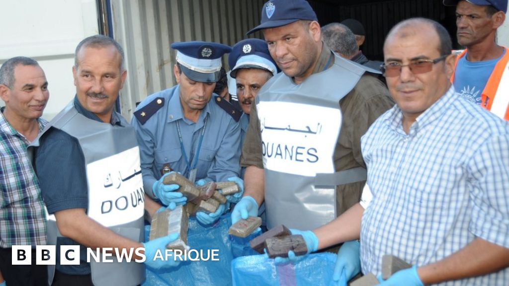Maroc : saisie record de drogue - BBC News Afrique
