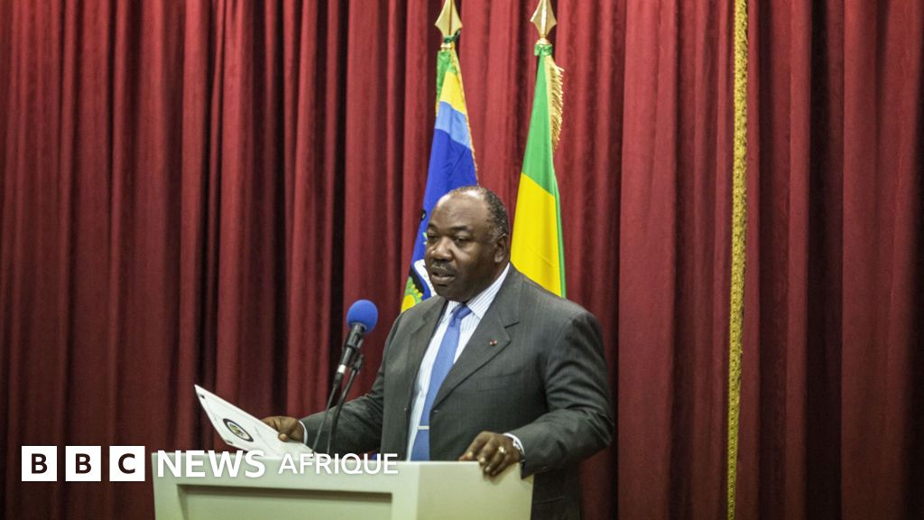 Le Gabon a un nouveau gouvernement - BBC News Afrique