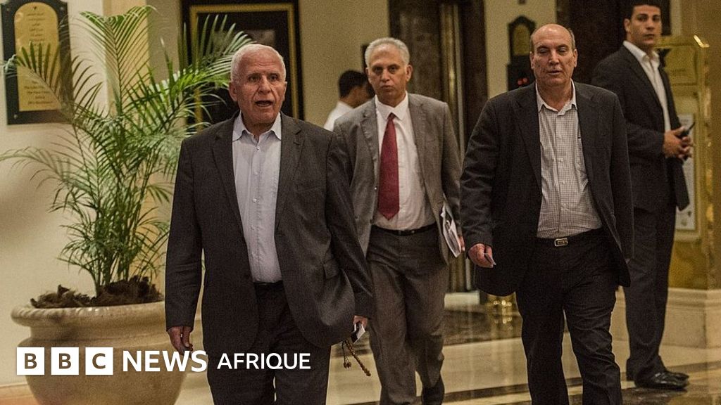 Egypte : visite du chef du Hamas - BBC News Afrique