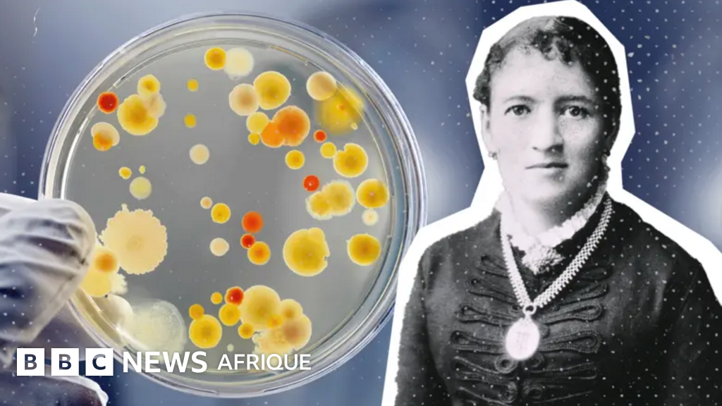 Fanny Angelina Hesse : la femme qui a révolutionné le monde de la ...