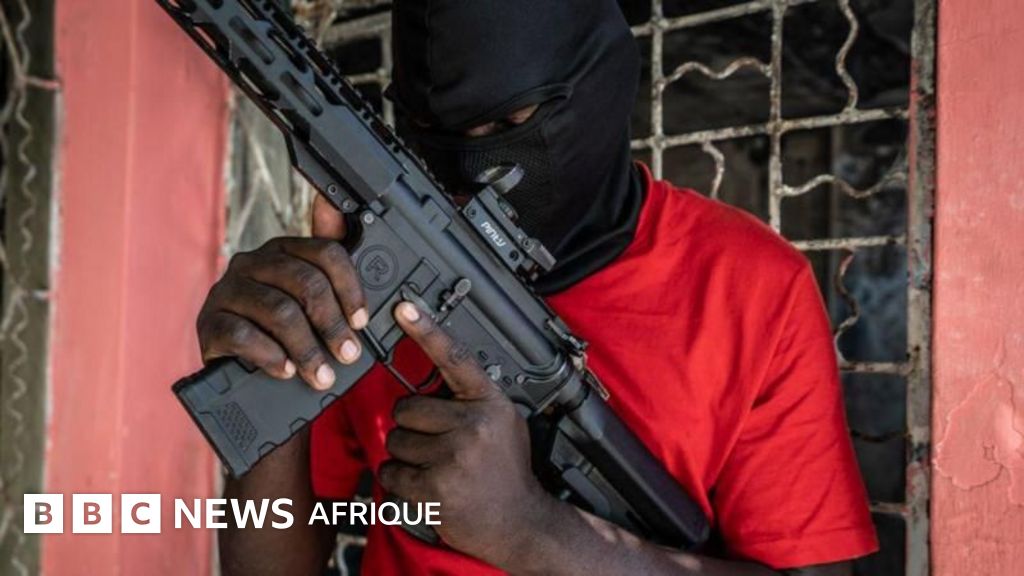 Haïti : le trafic d’armes venant des États-Unis alimente la crise - BBC ...