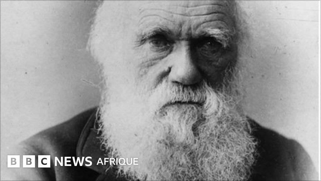 Théorie de l'évolution de Darwin: "L'origine des espèces" reste l'un des livres scientifiques ...