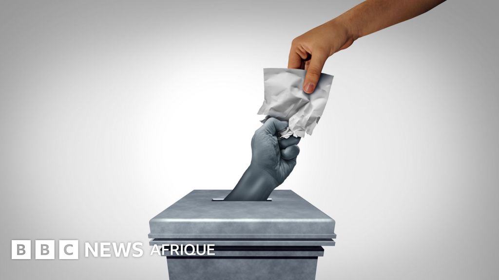 La fraude électorale : Qu'est-ce que c'est et comment y mettre fin ...