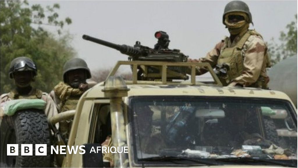 L'UE soutient la lutte contre Boko Haram - BBC News Afrique