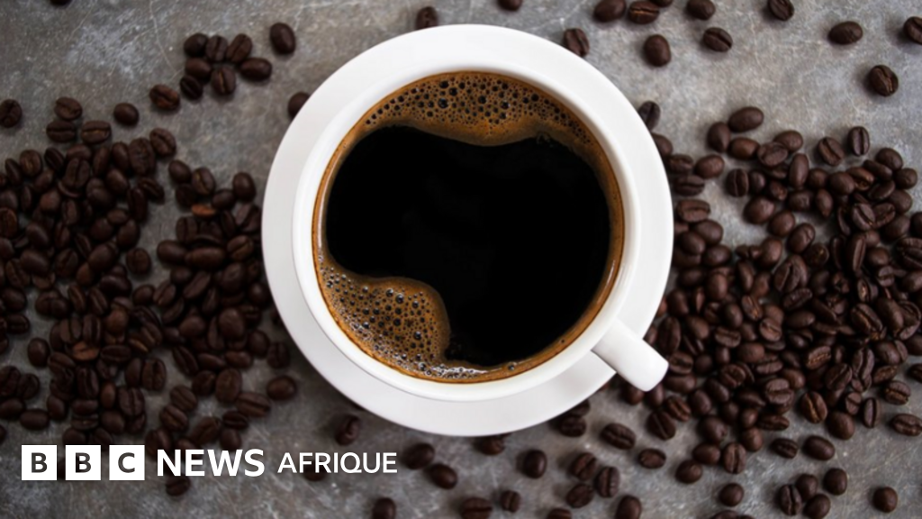 Le café : son origine, son histoire et ses effets sur l'organisme - BBC ...