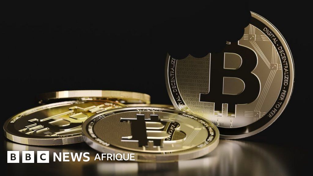 Cryptomonnaies : Alors que les banques achètent des bitcoins, qui sont les autres "baleines à ...