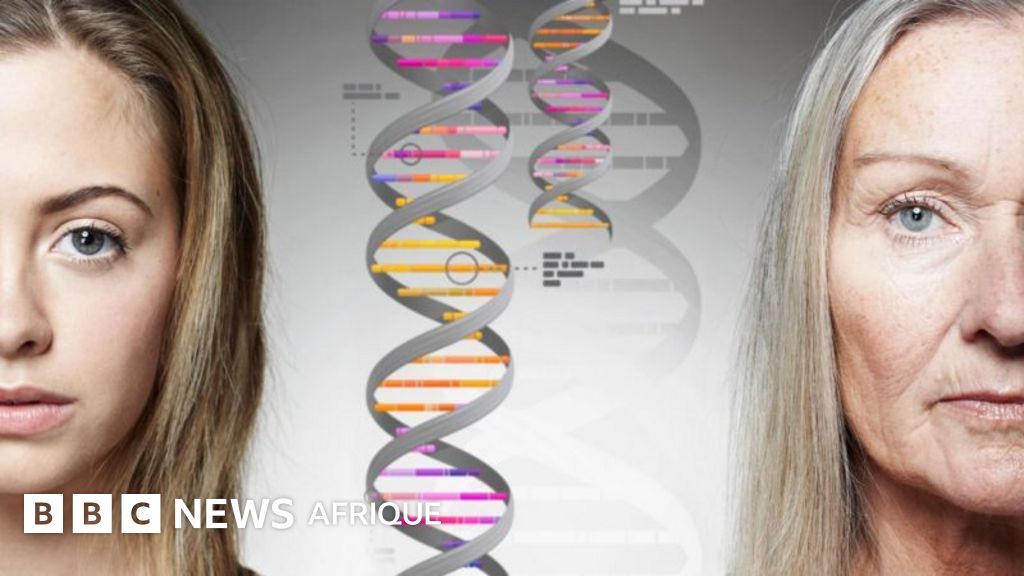 Biologie : Que sont les « gènes sauteurs » et pourquoi ils peuvent ...