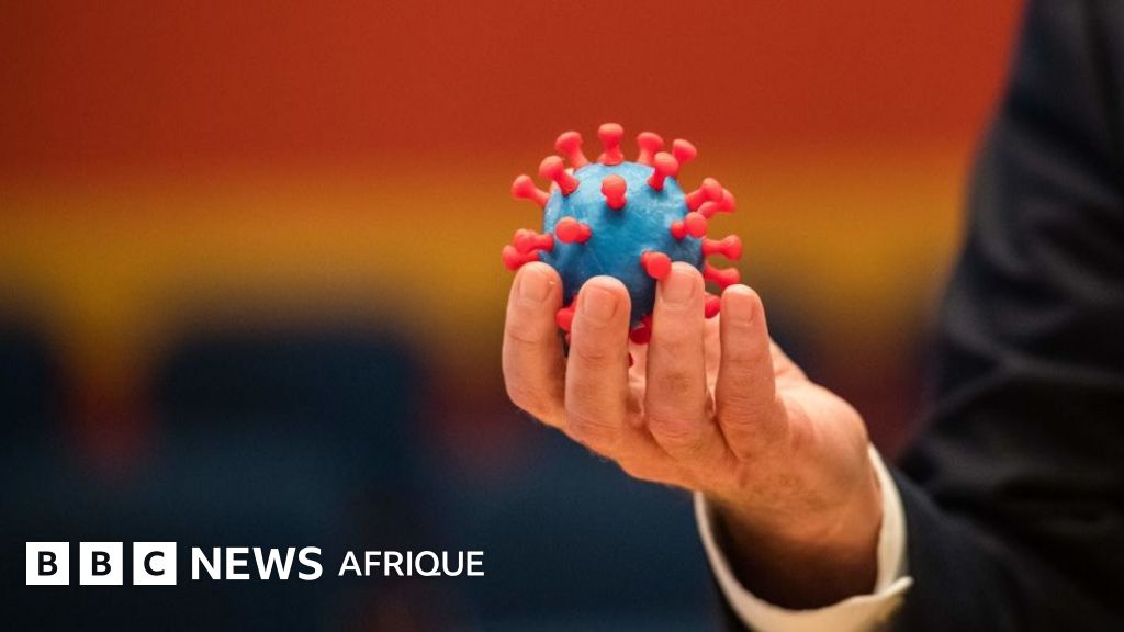 Variantes et mutations du coronavirus : ce qu'en dit la science - BBC ...