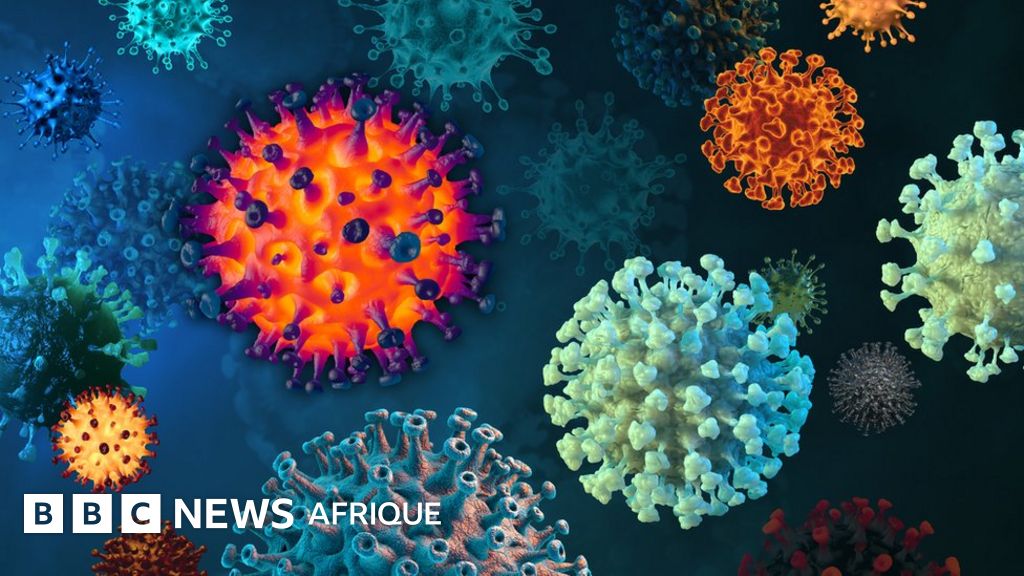 Covid : Que sait-on du nouveau variant XBB.1.5 ? - BBC News Afrique