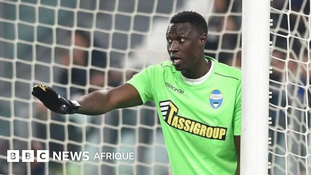 Alfred Gomis, nouveau gardien de Dijon - BBC News Afrique