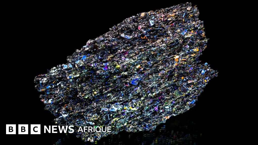 Quels sont les minéraux de terres rares de l'Ukraine et pourquoi Trump ...