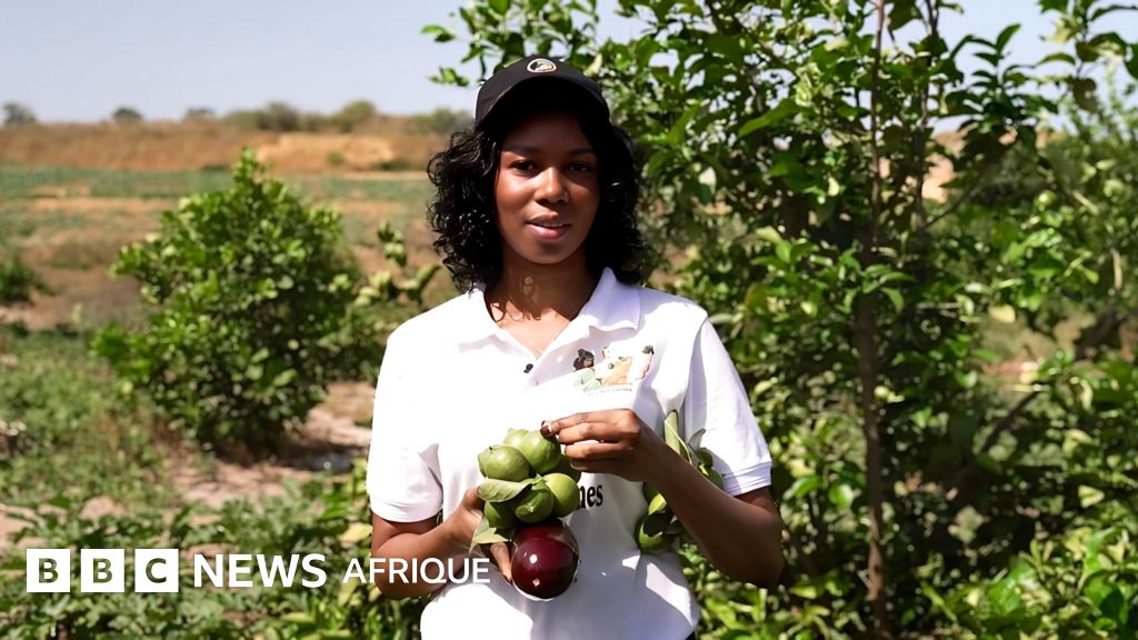 Khady légumes : l'entrepreneure sénégalaise qui est partie de 20 mille ...