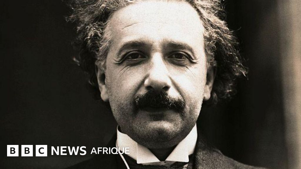 Albert Einstein, Le Vrai Cerveau Le Vrai Du Faux : N'utilise T On