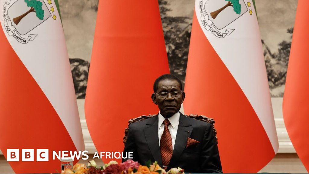 Vidéos de Baltasar Ebang Engonga : les autorités de la Guinée ...