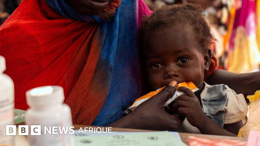 Guerre au Soudan : "Pas d'eau, pas d'électricité... Où pouvons-nous ...