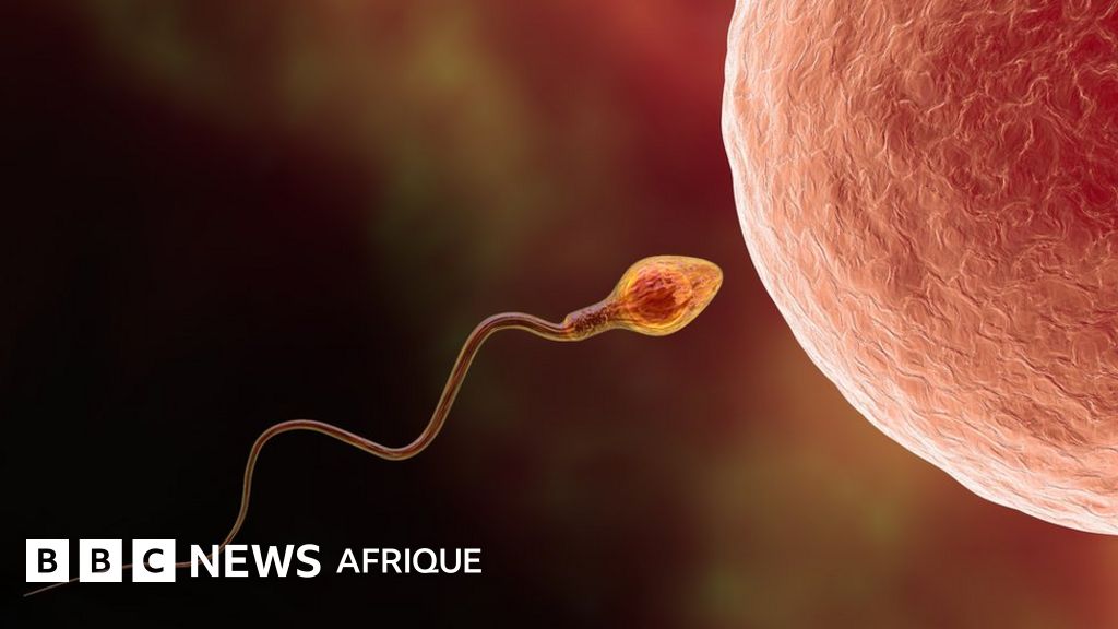 Infertilité masculine : comment l'IA peut être un outil puissant dans ...