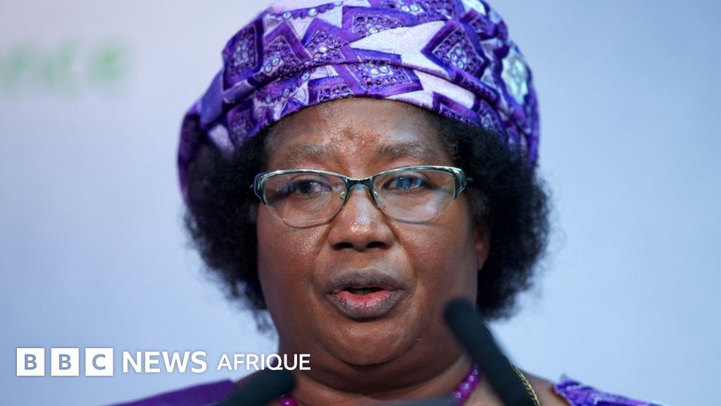 Joyce Banda rentre au Malawi après 4 ans d'exil - BBC News Afrique
