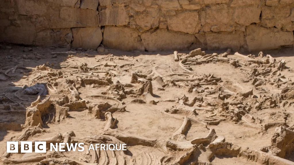 Archéologie : la civilisation ibérique disparue - BBC News Afrique