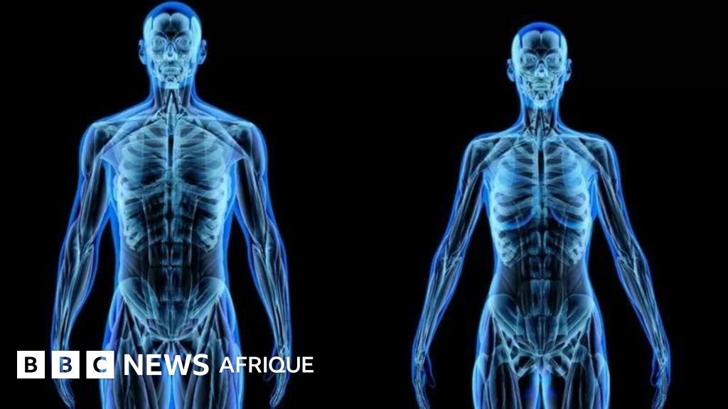 Biologie : La variété de choses étranges et incroyables qui sont ...