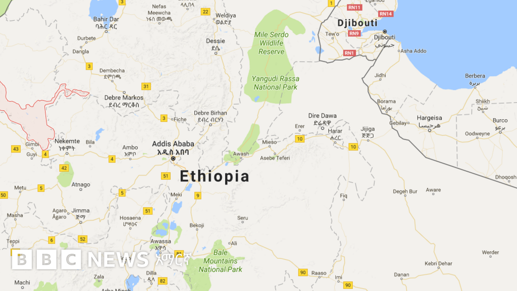 ''የአንድ ቤተሰብ አባላት ግድያ'' በቤኒሻንጉል ክልሏ ያሶ ከተማ - BBC News አማርኛ