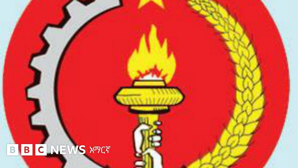 ቀጣዩ ጠቅላይ ሚኒስትር. . .? - BBC News አማርኛ