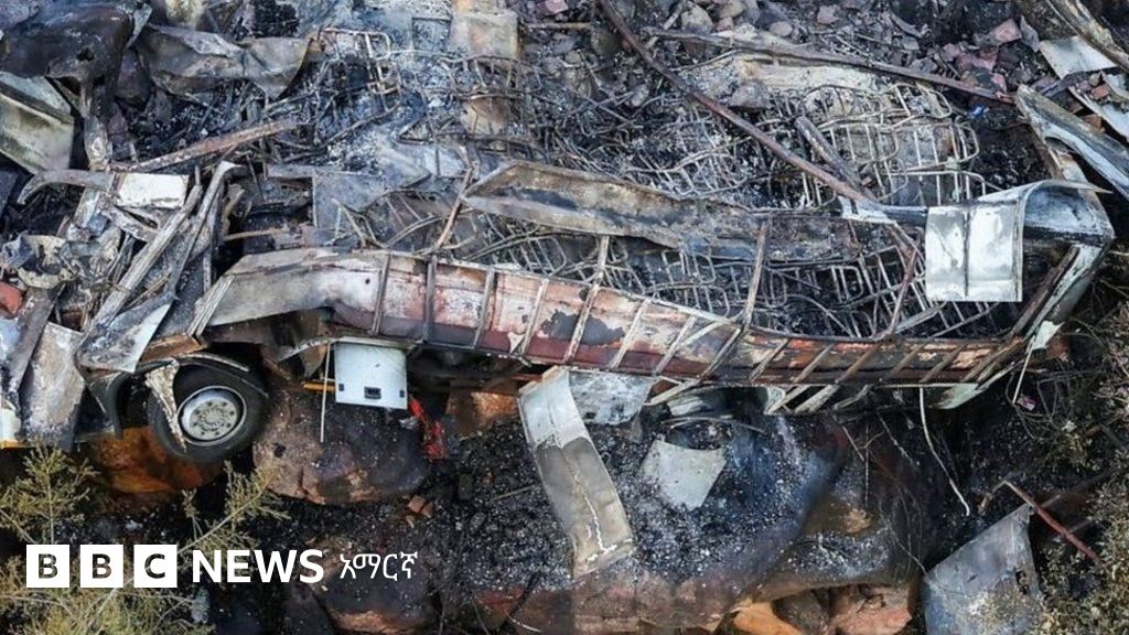 በደቡብ አፍሪካ ለፋሲካ በዓል መንገደኞችን አሳፍሮ ሲጓዝ የነበረ አውቶብስ ተገልብጦ 45 ሰዎች ሞቱ - BBC ...