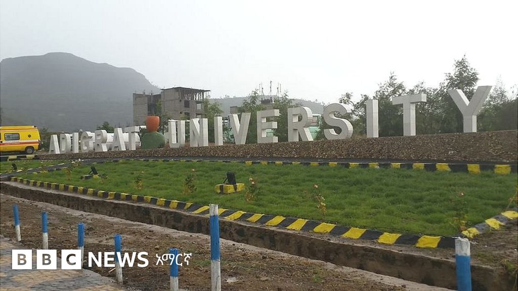 ተቃውሞ በወልዲያ፣ በጎንደርና በአምቦ ዩኒቨርሲቲዎች - BBC News አማርኛ