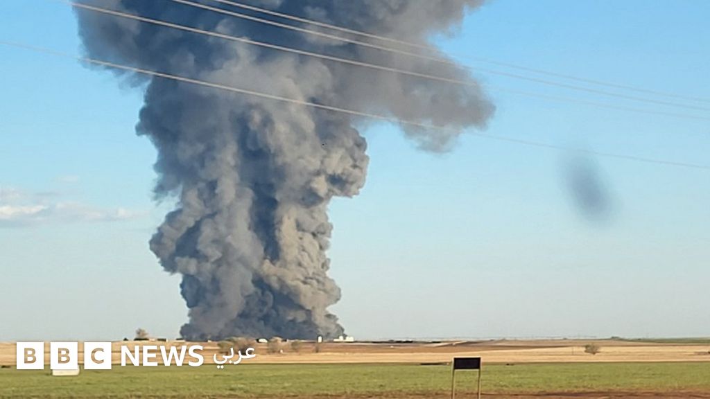 نفوق 18 ألف بقرة في انفجار مزرعة ألبان في ولاية تكساس الأمريكية - BBC News عربي