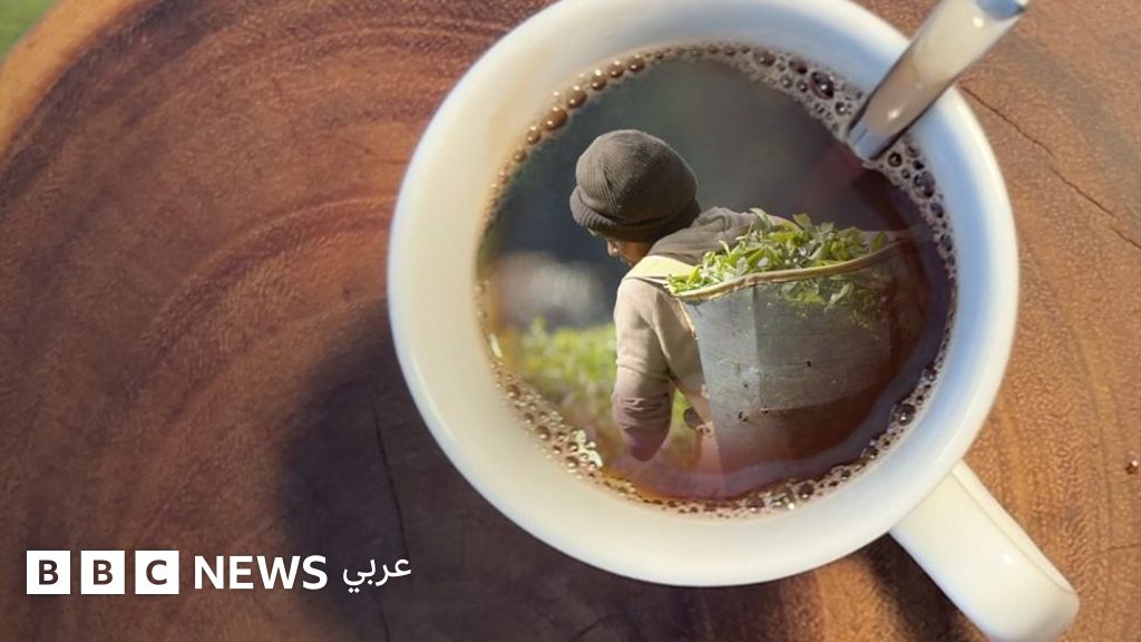 الجنس مقابل العمل تحقيق يكشف الاعتداء الجنسي في مزارع الشاي الكينية