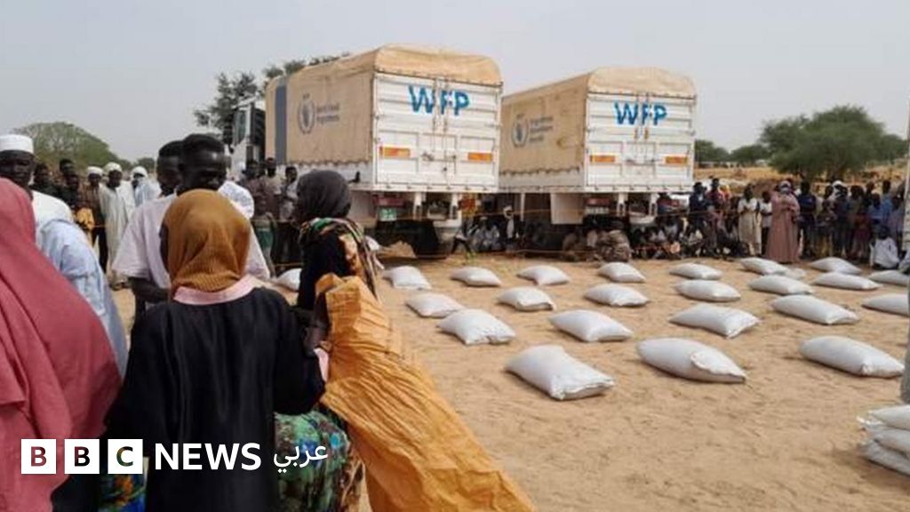 سباق ضد الزمن لإنقاذ اللاجئين السودانيين في تشاد الغارديان Bbc News