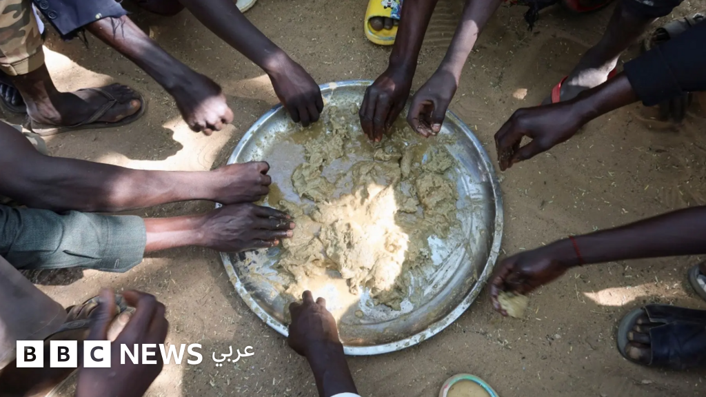 الحرب في السودان خمسة ملايين يواجهون شبح الجوع خلال الأشهر المقبلة
