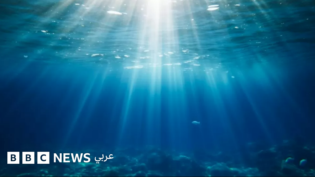 بي بي سي عربي | التغير المناخي: ما مخاطر واحتمالية انهيار نظام تيارات المحيط الدافئة "قريبا"؟