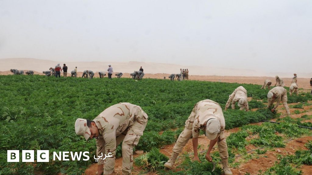 ما الذي نعرفه عن تهريب المخدرات بين مصر وإسرائيل؟ Bbc News عربي