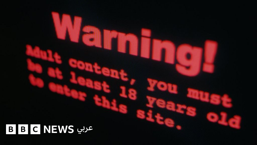 إلزام المواقع الإباحية بالتحقق من أعمار المستخدمين في لويزيانا - BBC News عربي