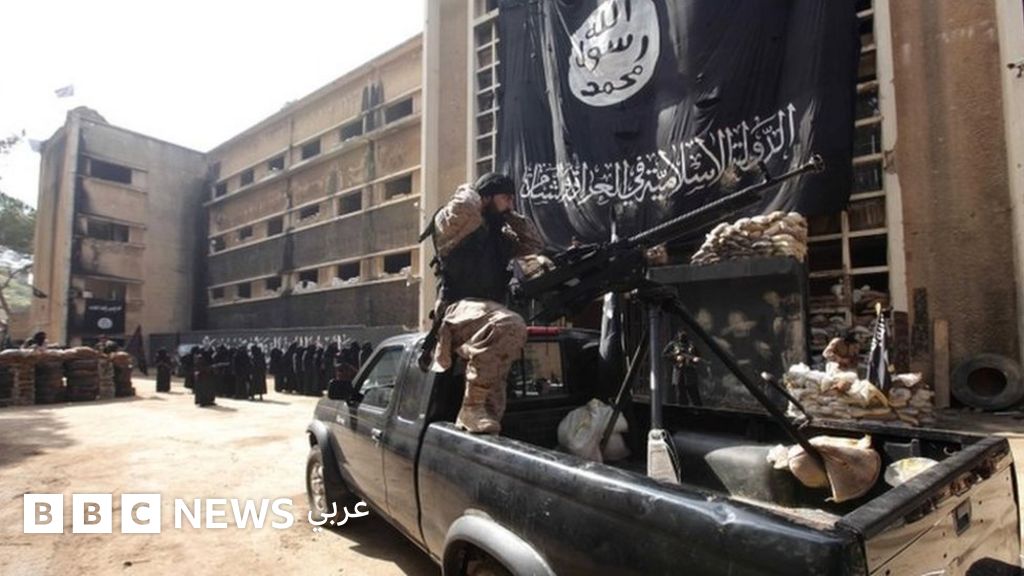 وجهة نظر تدويل تنظيم الدولة الإسلامية Bbc News عربي