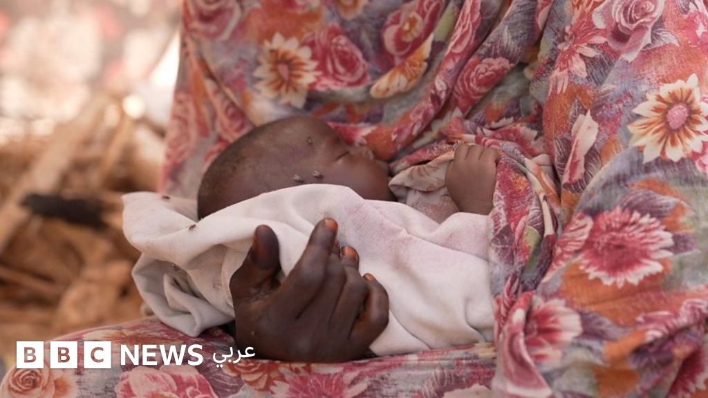 الحرب في السودان مذيعة سودانية تلد في الطريق هربا من الحرب وتواصل