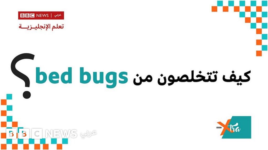 إكسترا إنجليش: كيف تتخلصون من bed bugs؟ - BBC News عربي