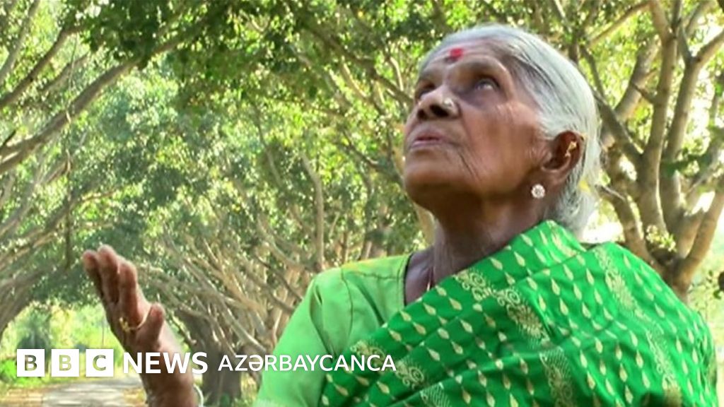 Sonsuzluq qınağına ağac əkməklə qalib gələn 105 yaşlı qadın - BBC News ...