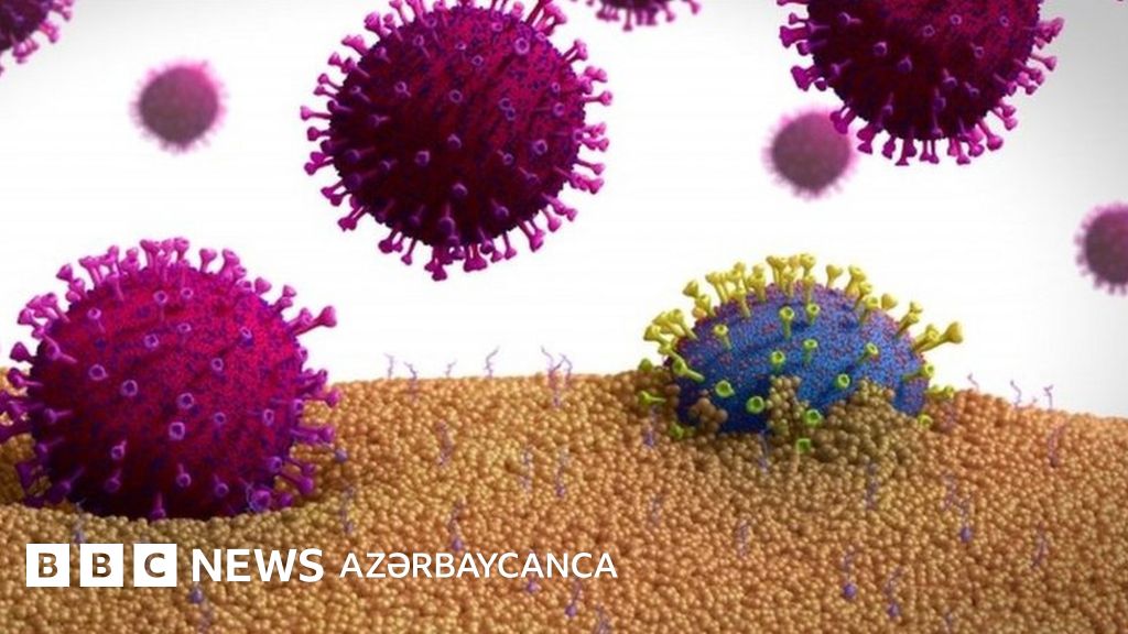 "Omicron simptomları hələ ki, yumşaqdır", bunu aşkar edən Cənubi ...