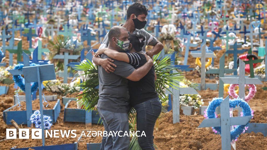 Koronavirusun 6 ayı. Covid-19 dünyanı bürüyüb - BBC News Azərbaycanca