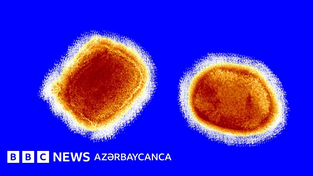 Meymunçiçəyi: yayda infeksiyanın "yayılması sürətlənə bilər" - BBC News ...