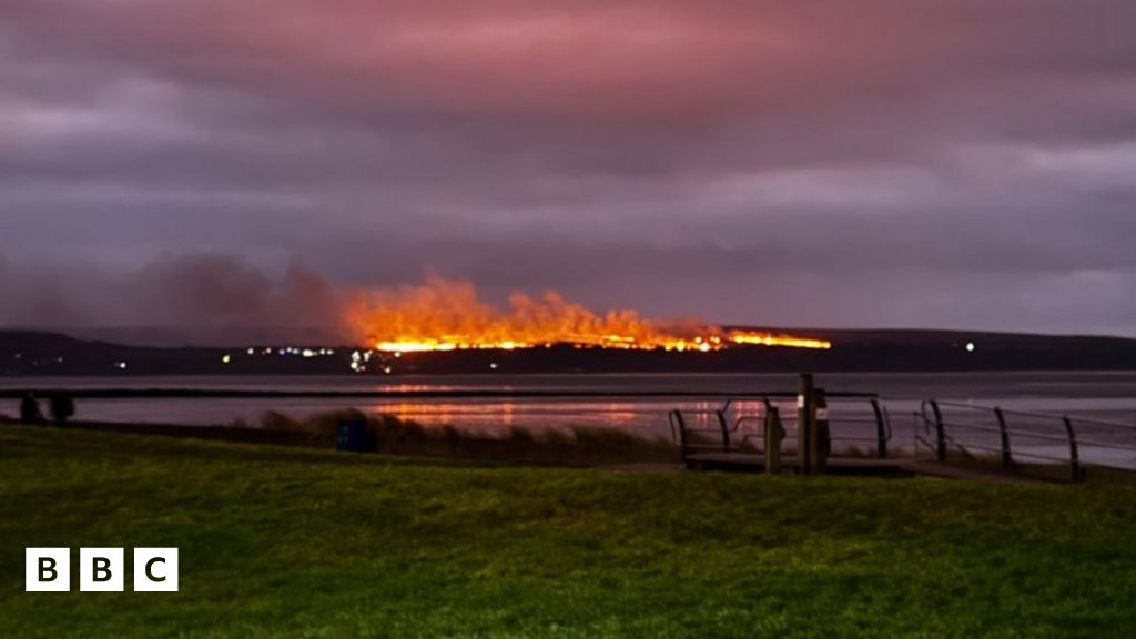 Penrhyn Gŵyr: Diffoddwyr yn ymladd tân awyr agored - BBC Cymru Fyw