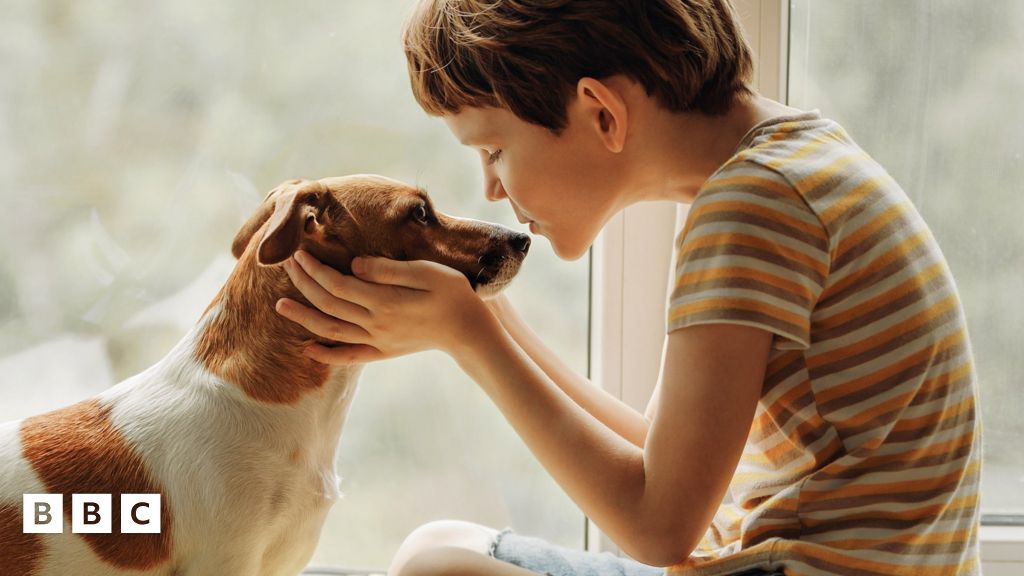 Is lockdown a good time to adopt a dog? - BBC Newsround