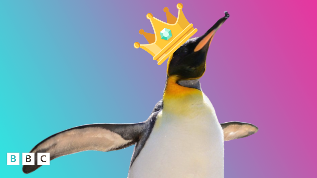 Meet Spike: The world's most popular penguin! - BBC Newsround