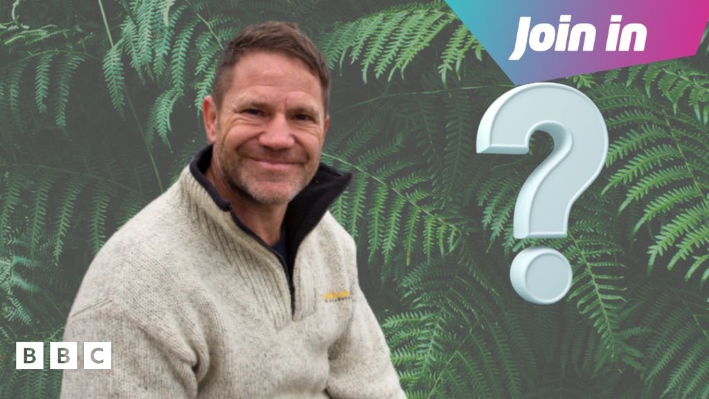 We want YOUR questions for Deadly 60 star Steve Backshall - BBC Newsround