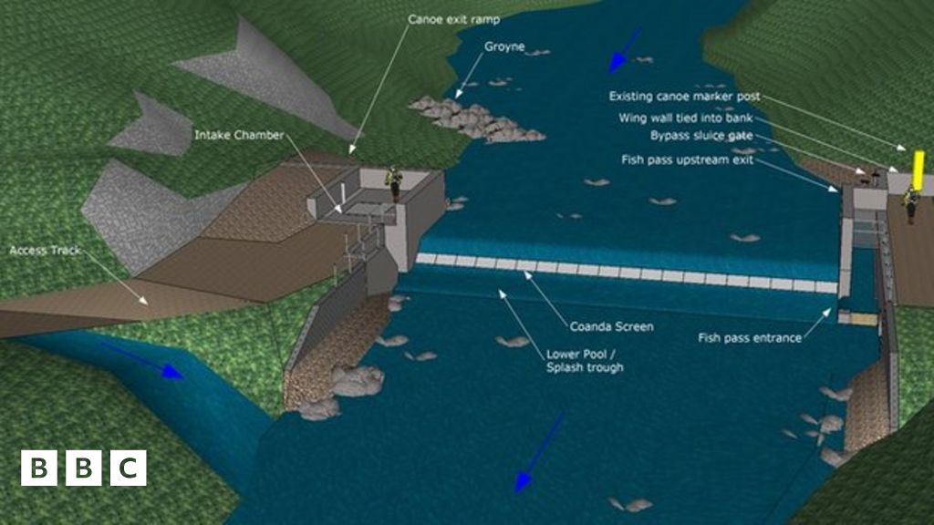 Cynllun ynni yn 'dinistrio' coedwig hynafol yn Sir Conwy - BBC Cymru Fyw